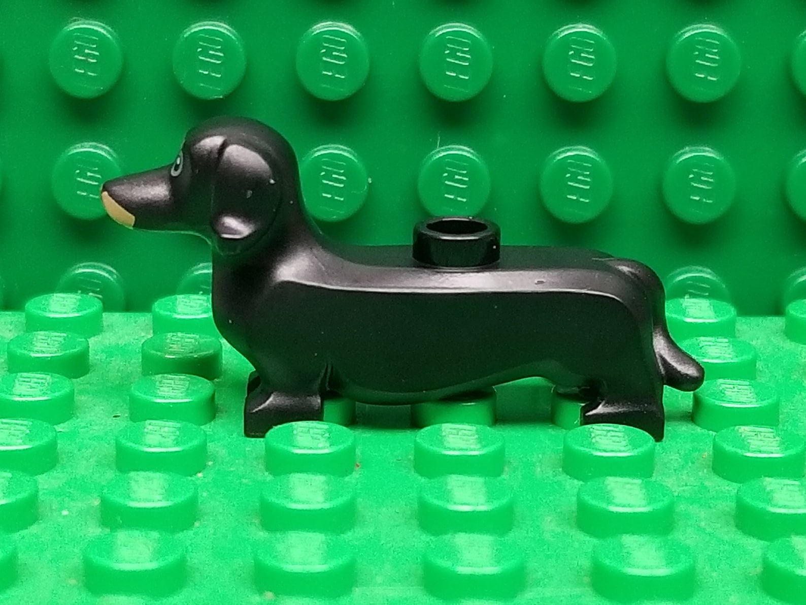 LEGO® Animals Dog Dachshund Weiner Dog, Minifigure, Minifig - Etsy