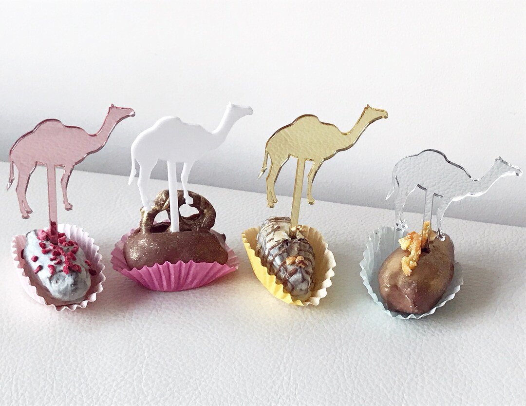 Camel Acrylic Cake Topper - Etsy