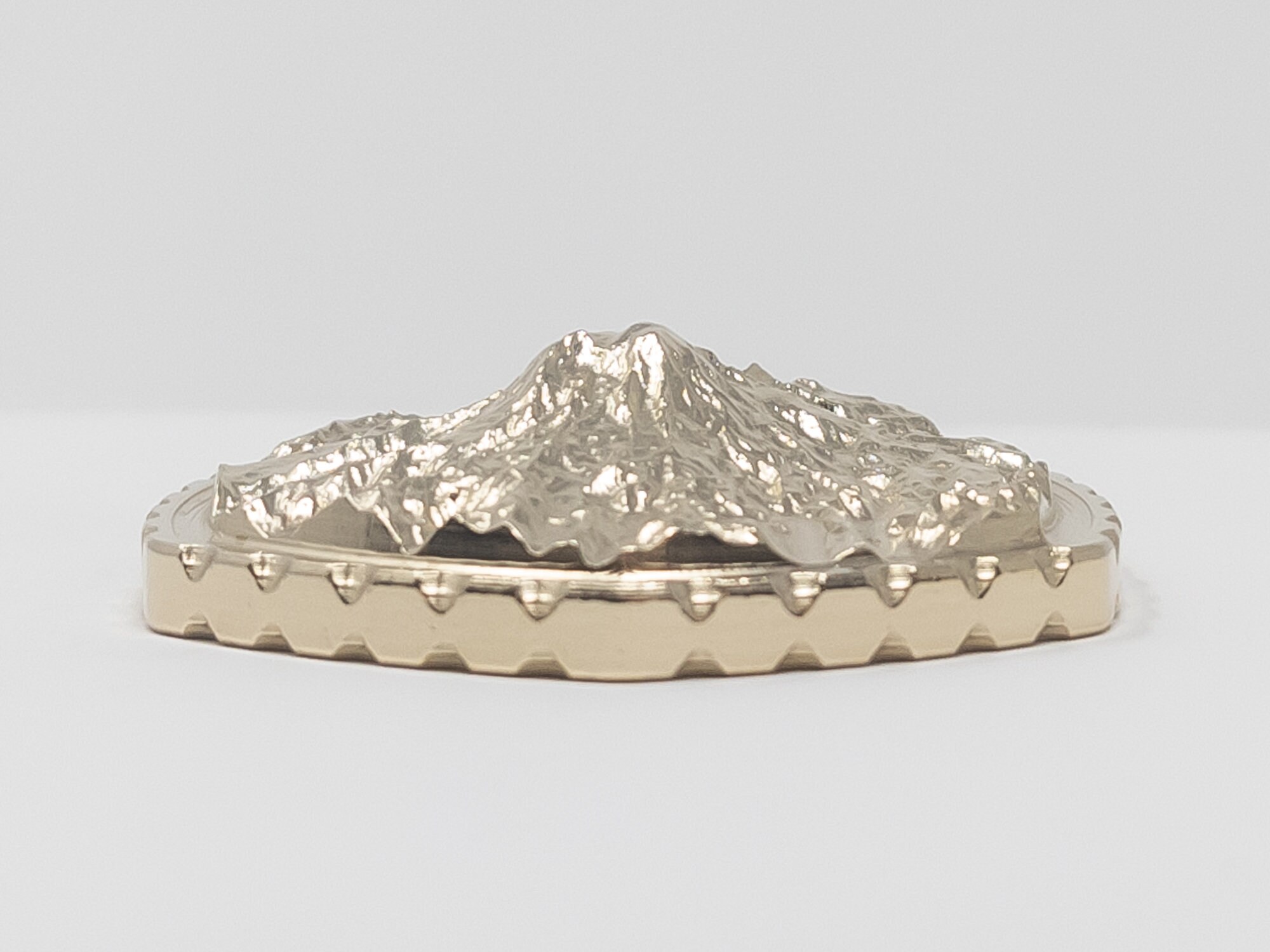 Mount Rainier 3D High Relief Topo Coin - Etsy