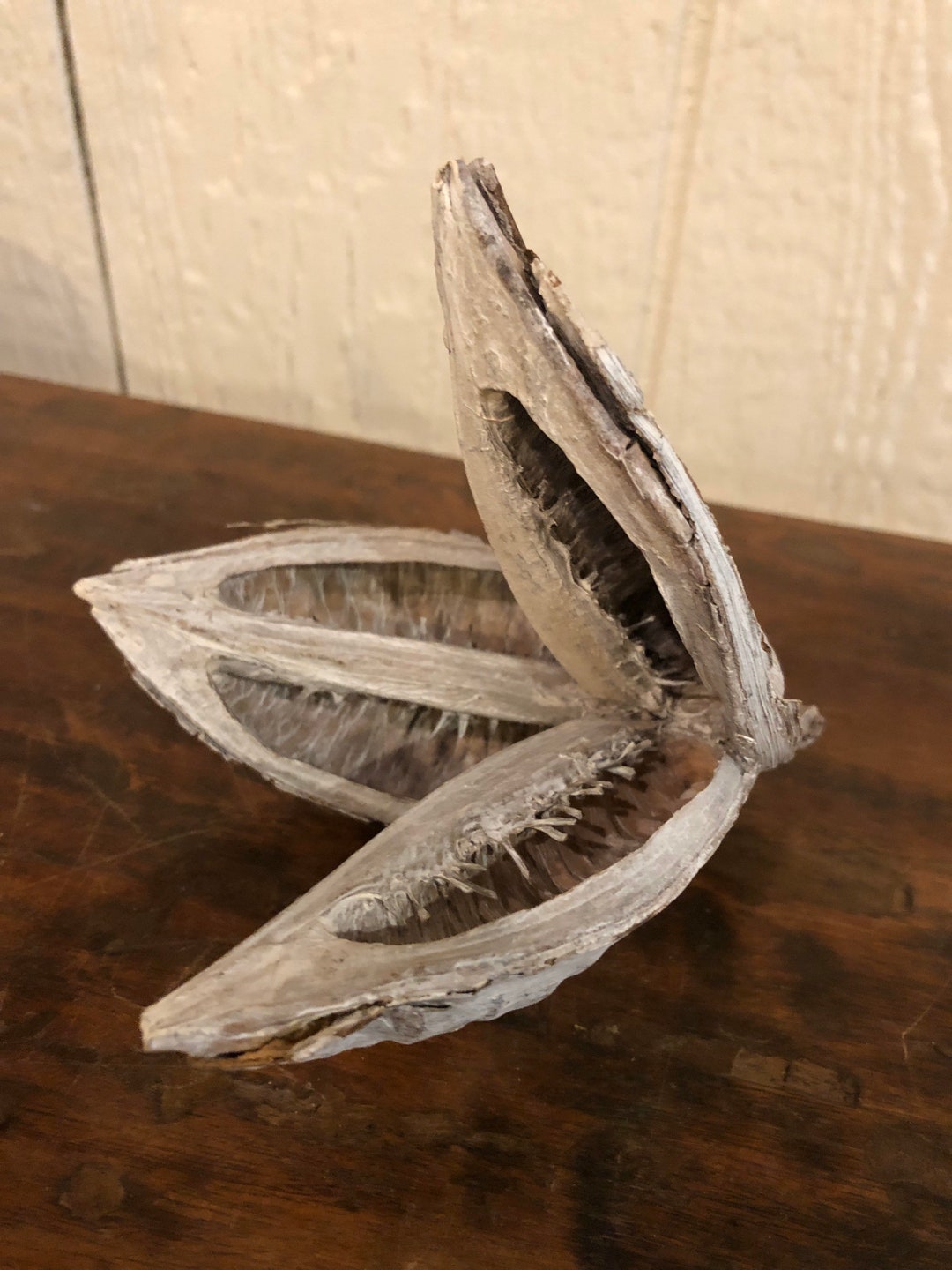 Sora Pod - White - Etsy