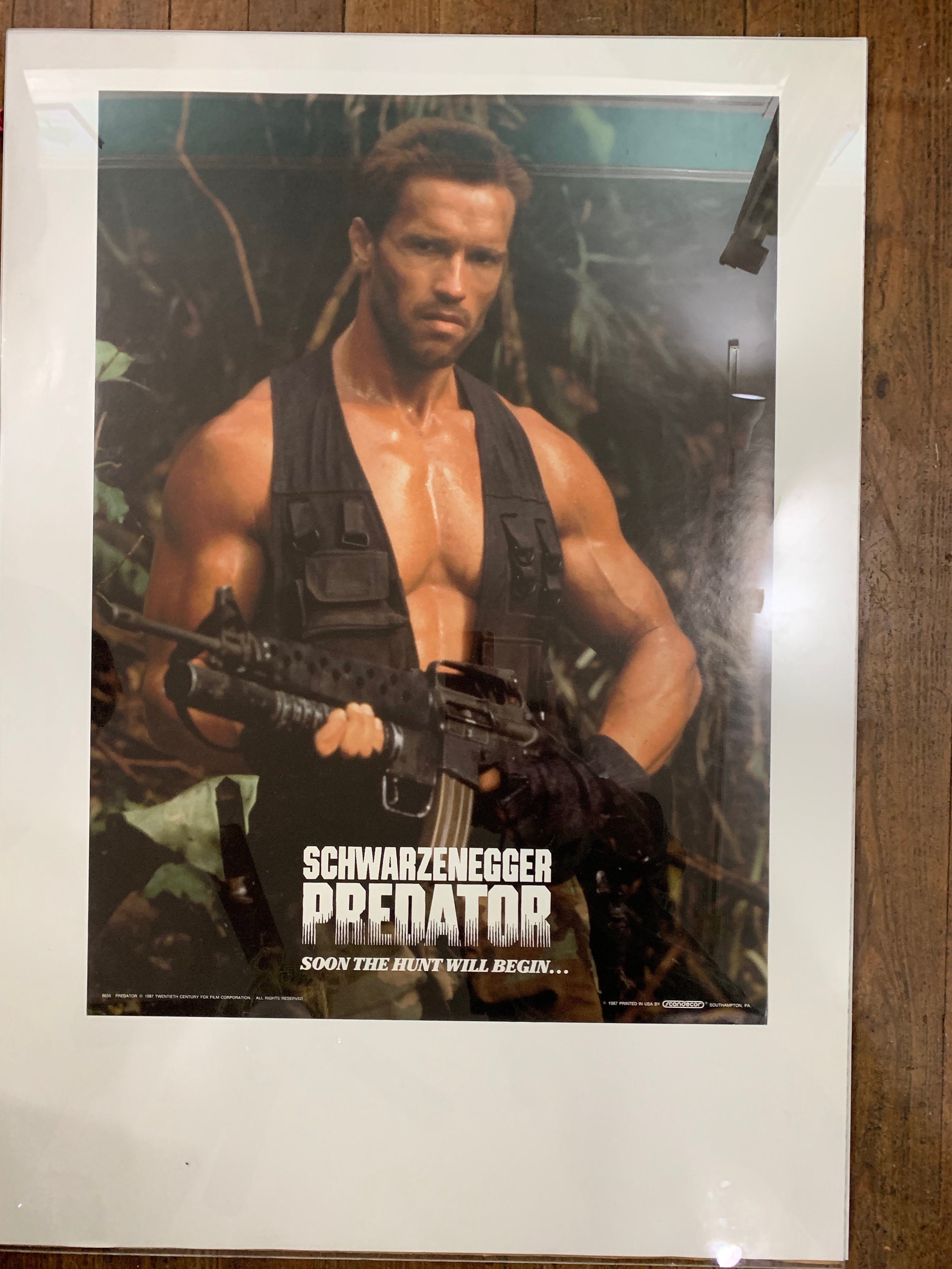 Predator Arnold