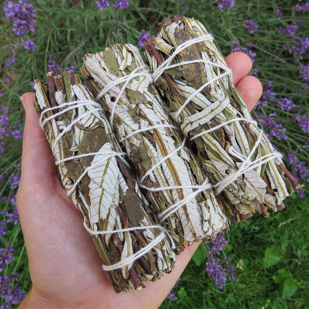 Yerba Santa Smudge Stick 4" - Holy Herb - Natural Incense - Small Yerba ...