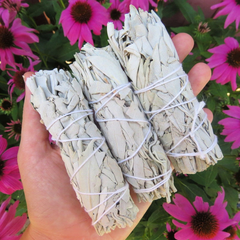 Sage Bundle - Etsy