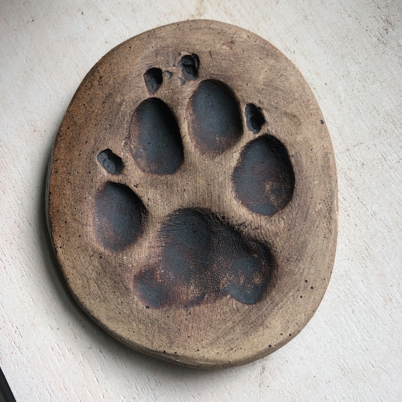 Dog Paw Tiles - Etsy