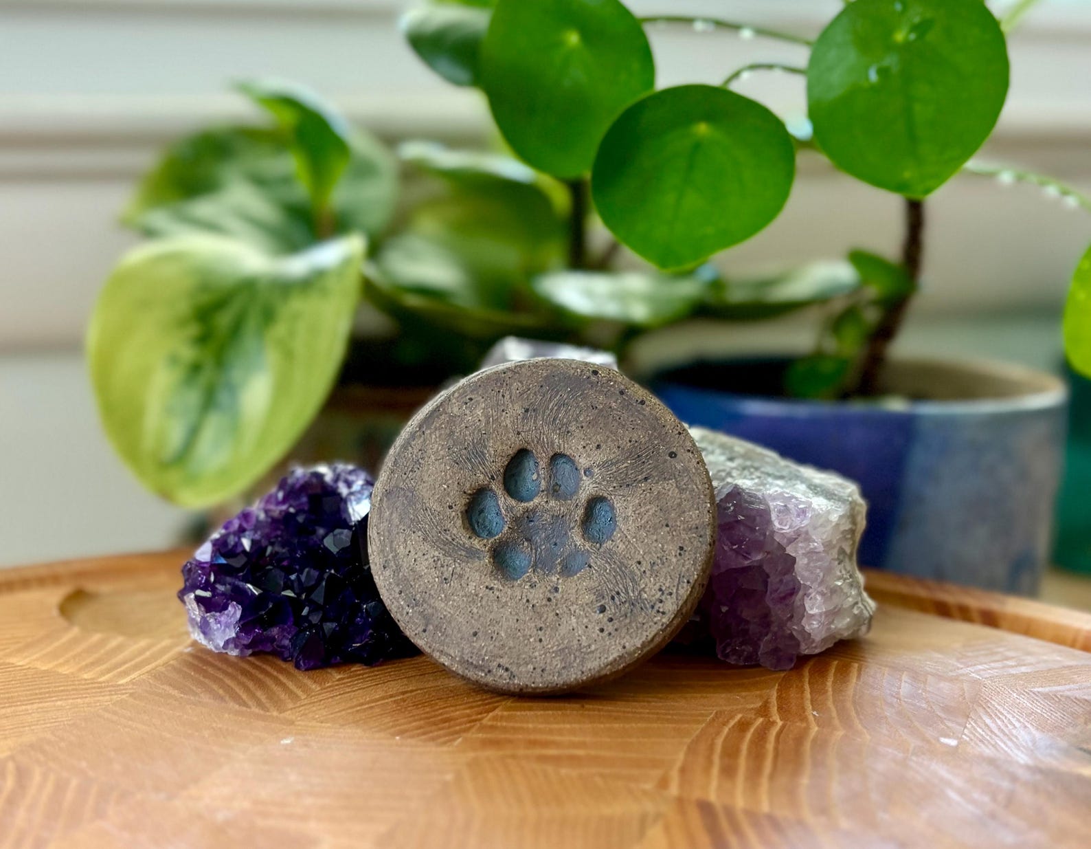 Pet Paw Print Ceramic - Etsy