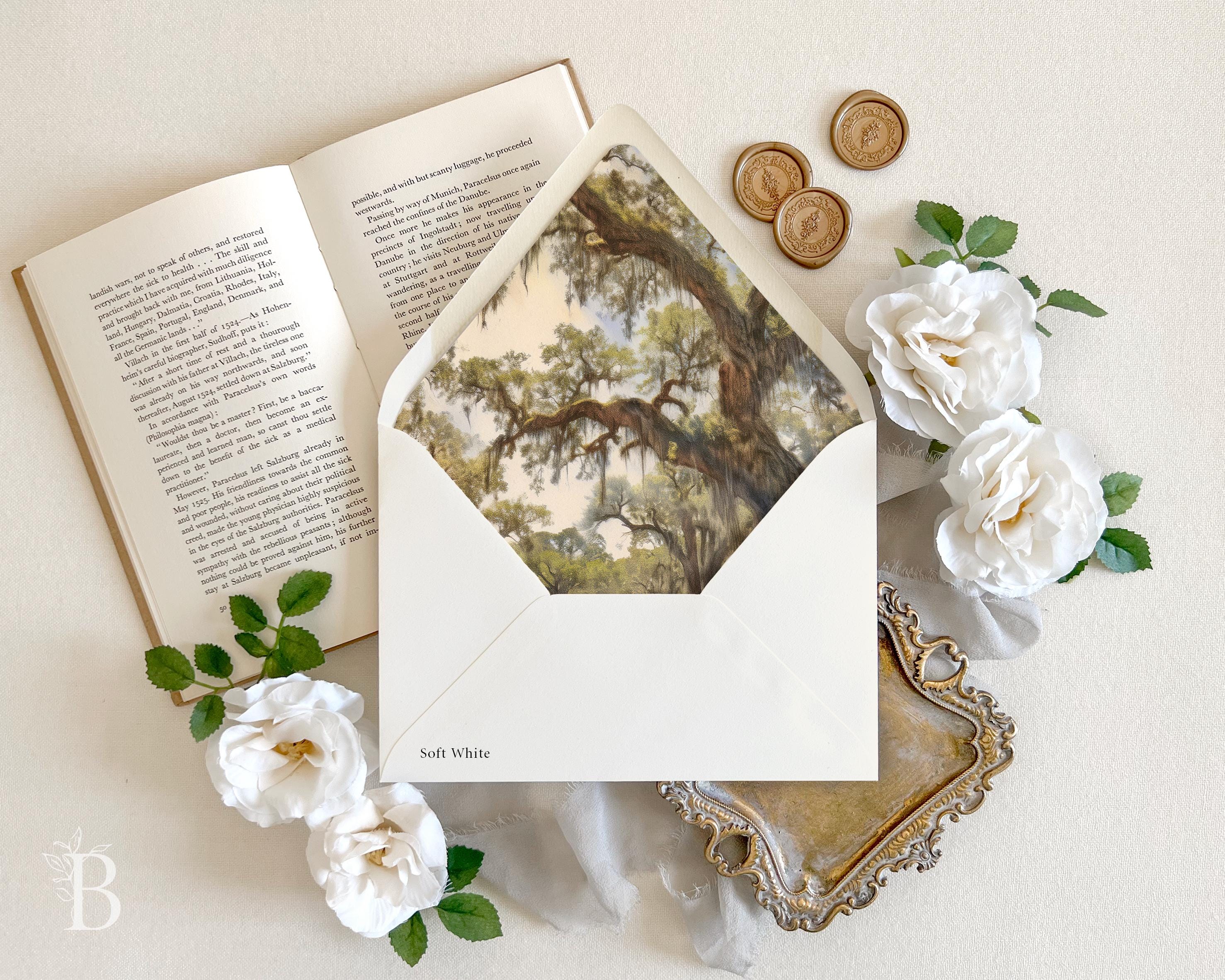 Mossy Oak Tree Envelope Liner | Live Oak With Spanish Moss Envelope ...