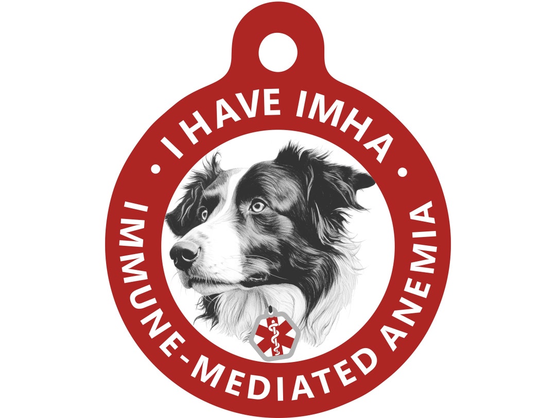 Medical ID Dog Tag CUSTOMIZE I Have IMHA Immune Mediated Hemolytic ...