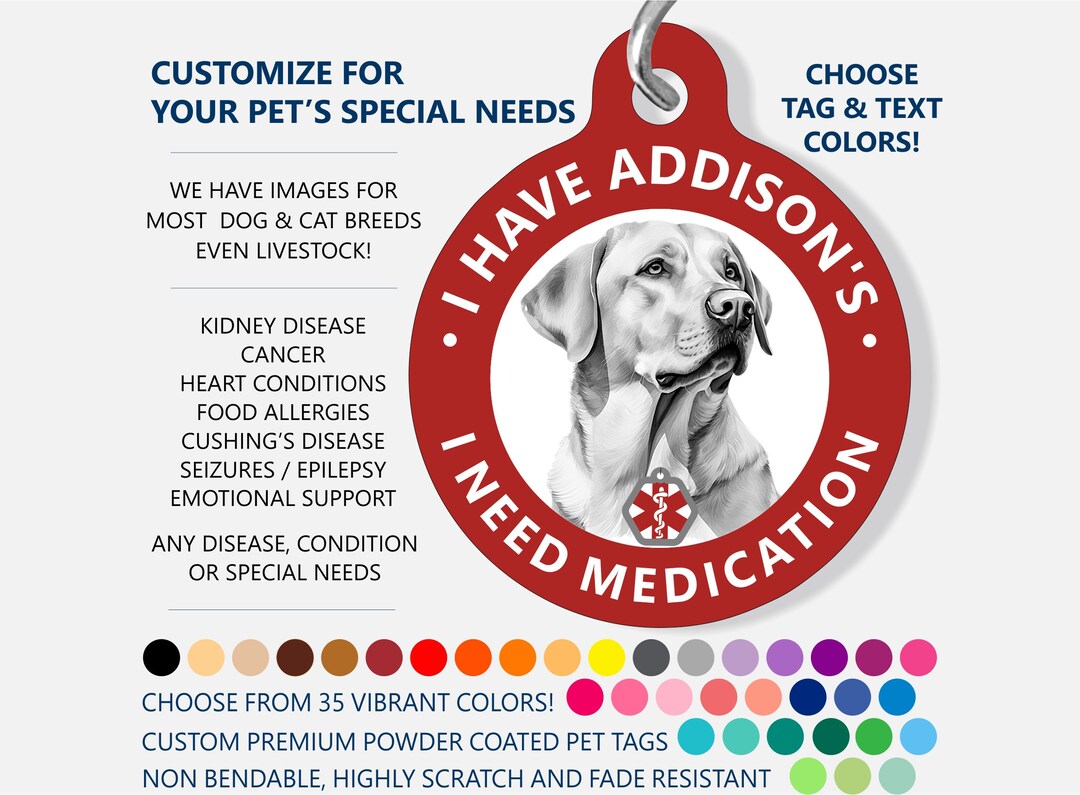 Medical ID Dog Tag CUSTOM I Have Addison's Disease, Medical Pet ID Tag ...
