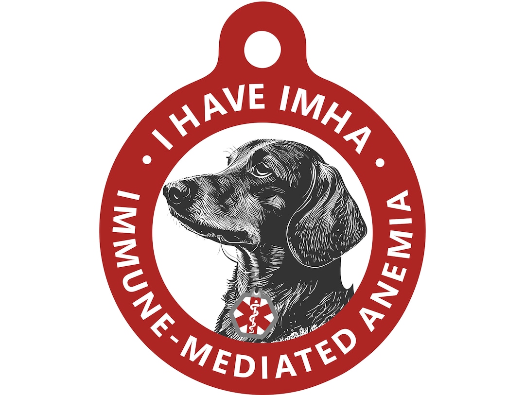 Medical ID Dog Tag CUSTOMIZE I Have IMHA Immune Mediated Hemolytic ...