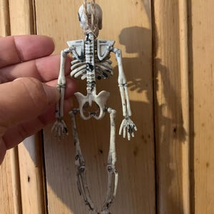 Handmade, 1:12th Scale, Dolls House, Miniature, Aged, Human, Skeleton ...