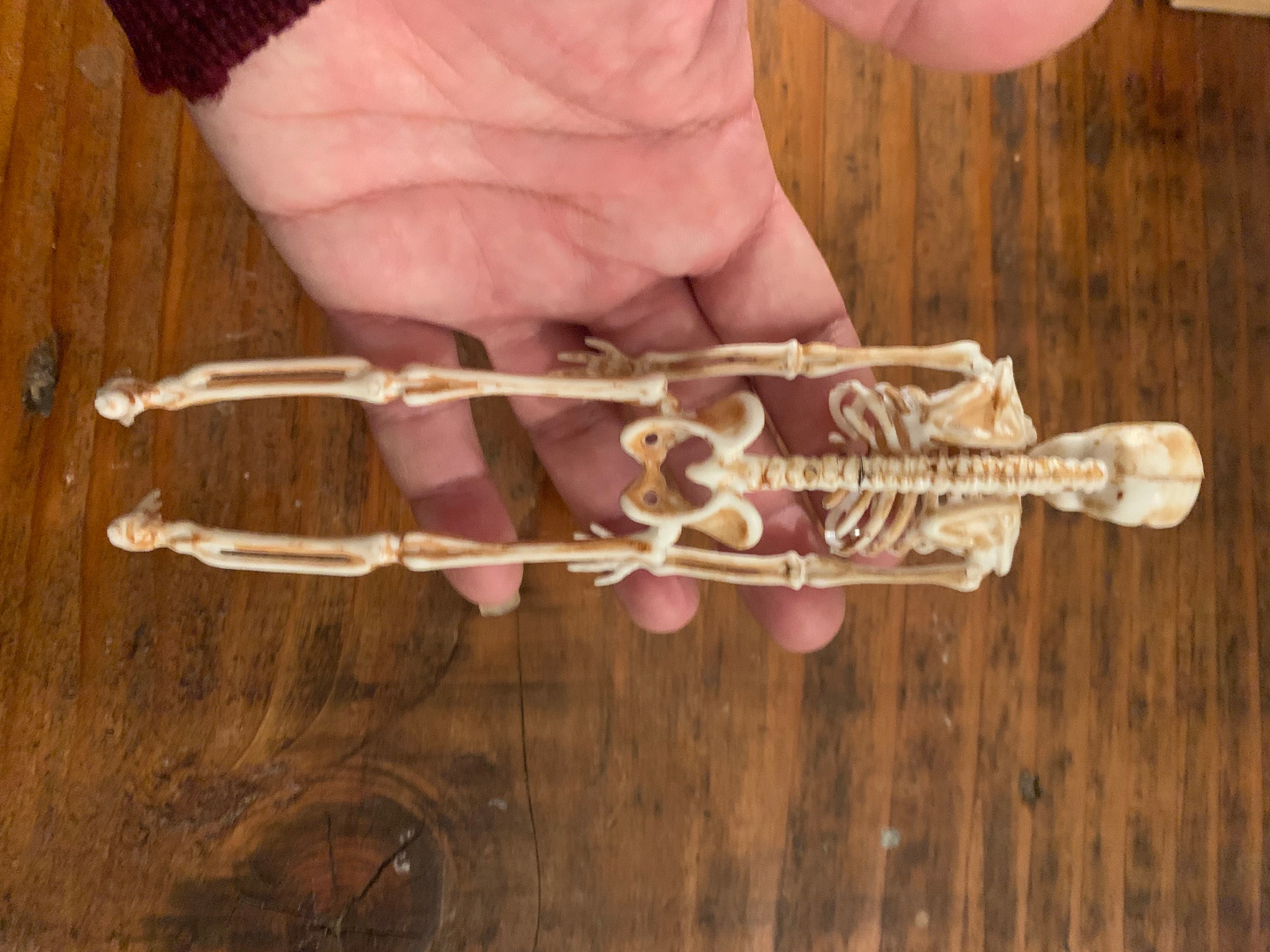 Handmade, 1:12th Scale, Dolls House, Miniature, Aged, Human, Skeleton ...