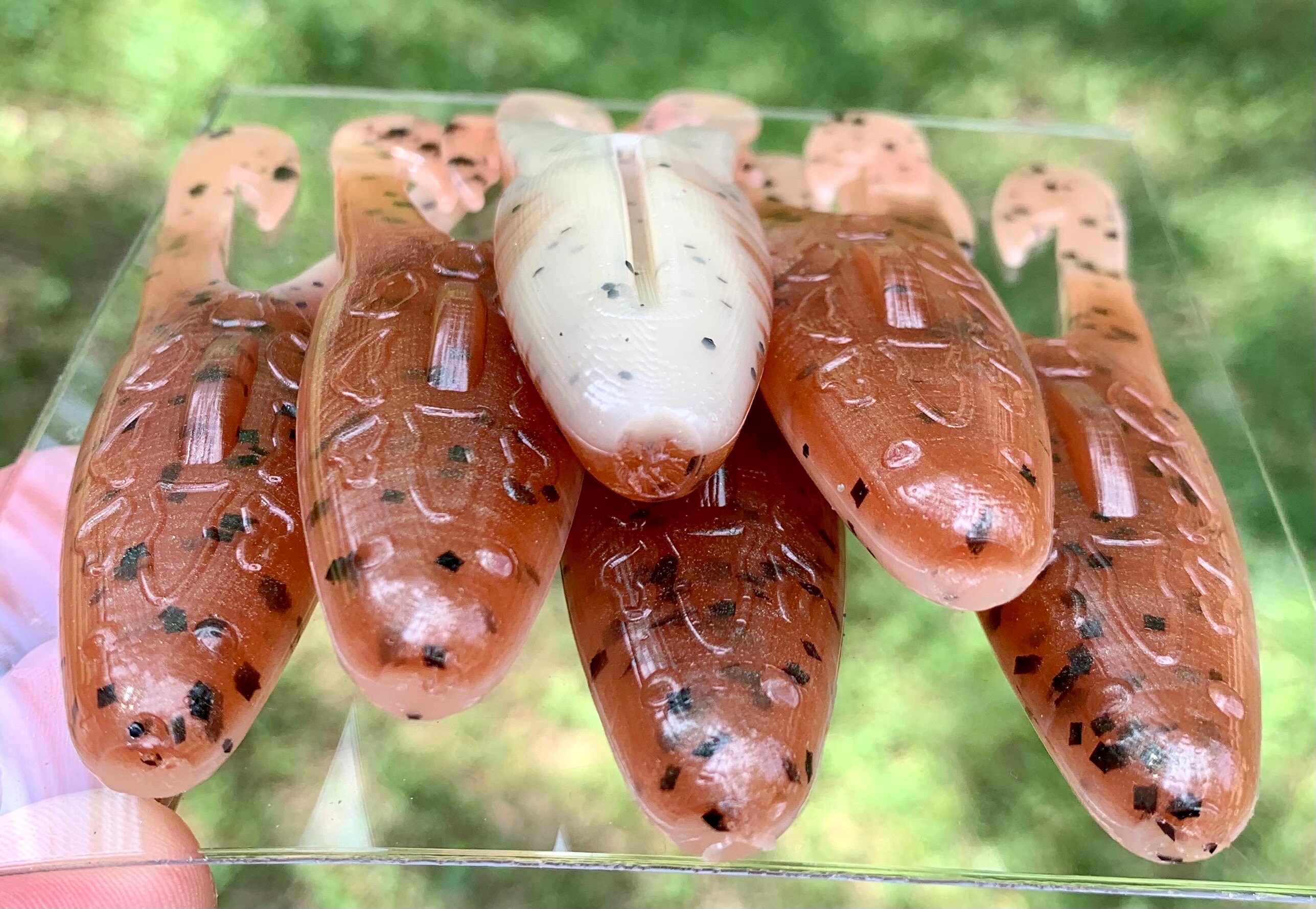 4 Speed Frog ROOT BEER FLOAT - Etsy