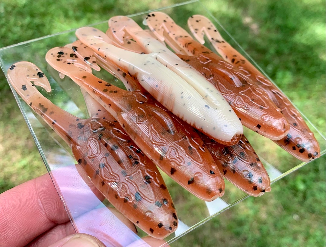 4 Speed Frog ROOT BEER FLOAT - Etsy