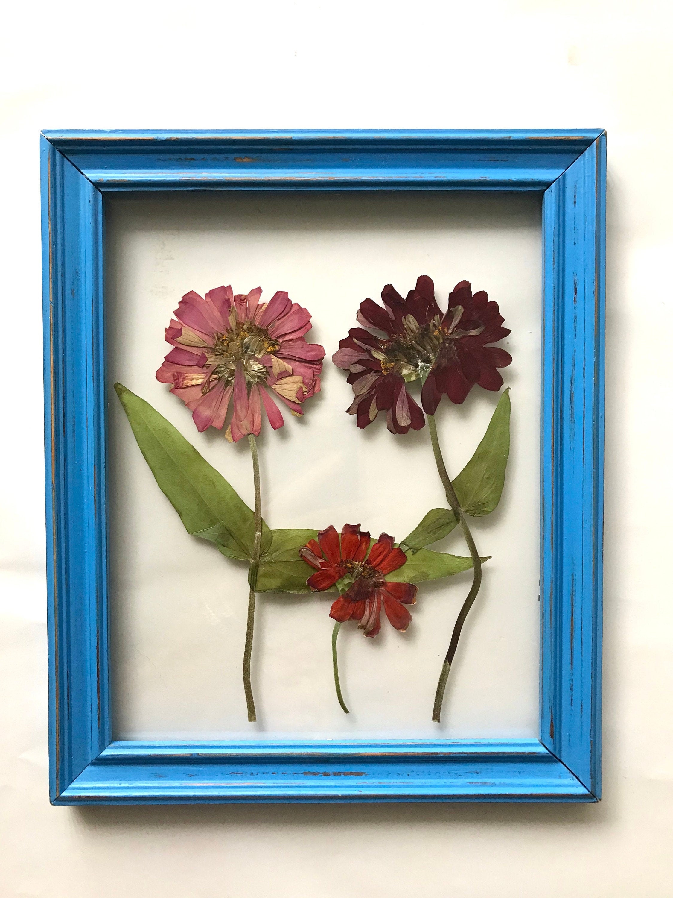 Home Décor Wall Hangings Cinco Orquideas Float Frame Botanical Art ...