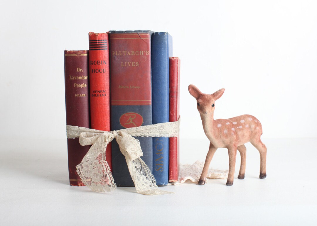 Vintage Book Set, Red and Blue Books, Decor Display Books - Etsy