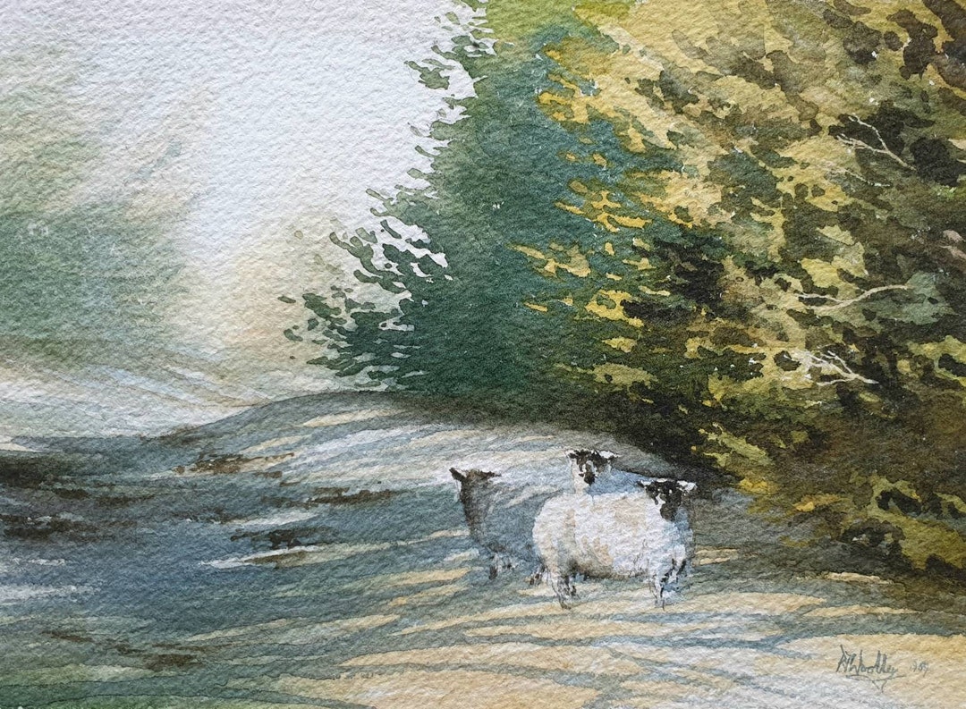 Forest Landscape With Sheep, Goyt Valley, Peak District National Park ...