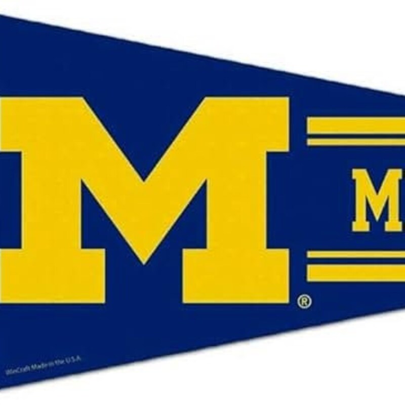 Michigan Felt Pennants - Etsy