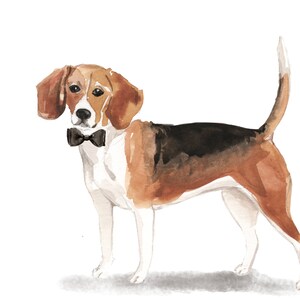 Personalised Beagle Couple Wedding Print, Engagement Gift, Anniversary ...