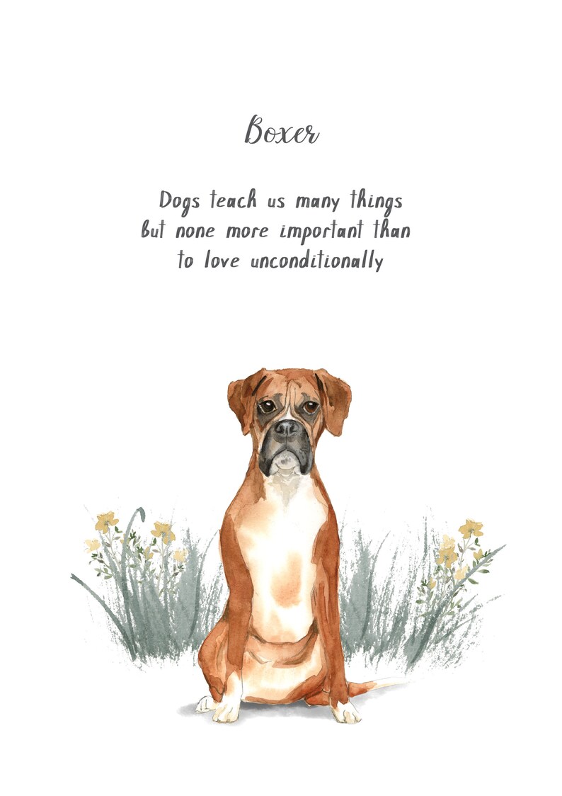 Boxer Print Unconditional Love Quote Unframed High Quality - Etsy