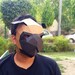 DIY Papercrafts,pug Mask,party Mask,printable Mask,halloween Costume ...