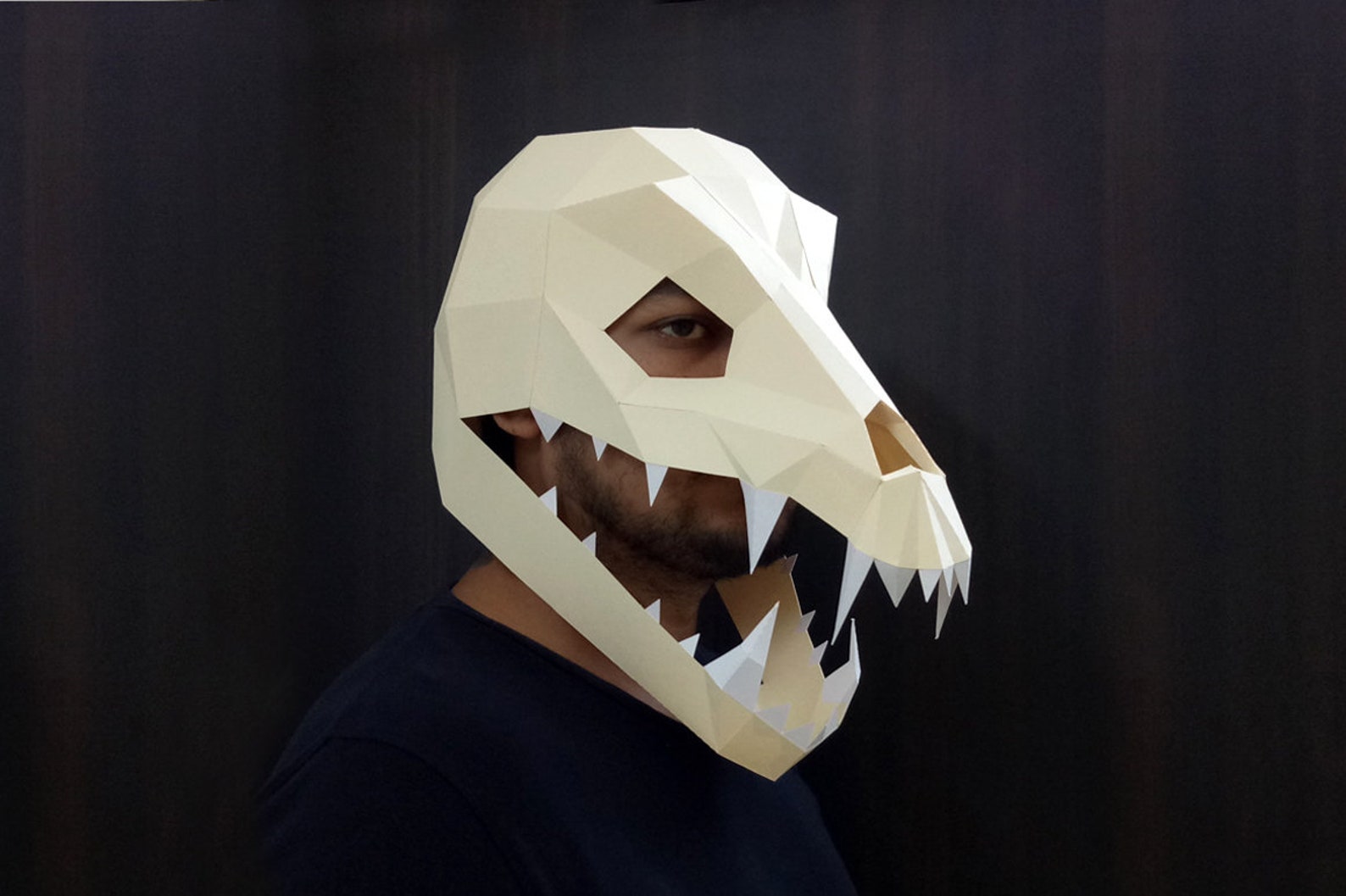 DIY Swooping Evil Mask, 3d Papercraft, Fantastic Beasts, Lowpoly ...