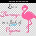 Flamingo SVG, Flamingo Clipart, Zoo Svg,animal Svg, Beach Svg, SVG ...