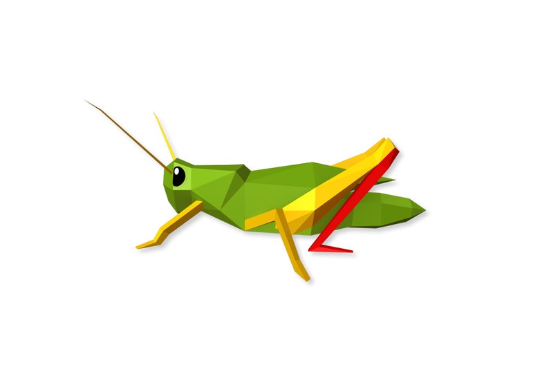 DIY Papercraft Grasshopperlowpoly Grasshopper Png3d Origami - Etsy