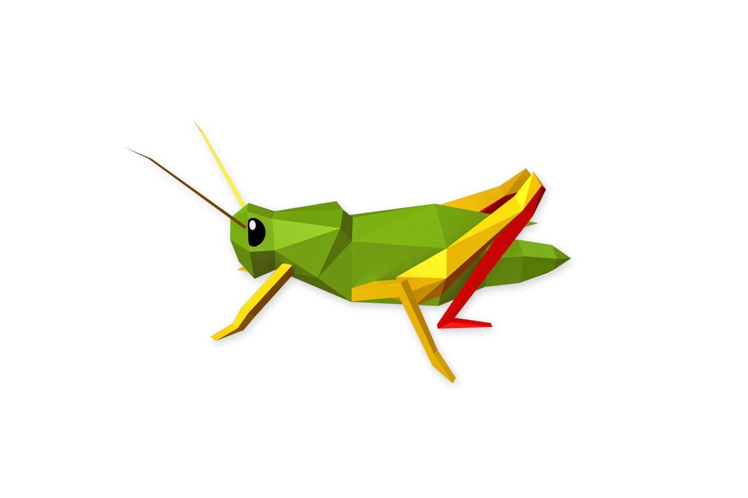 DIY Papercraft Grasshopper,lowpoly Grasshopper Png,3d Origami Insects ...
