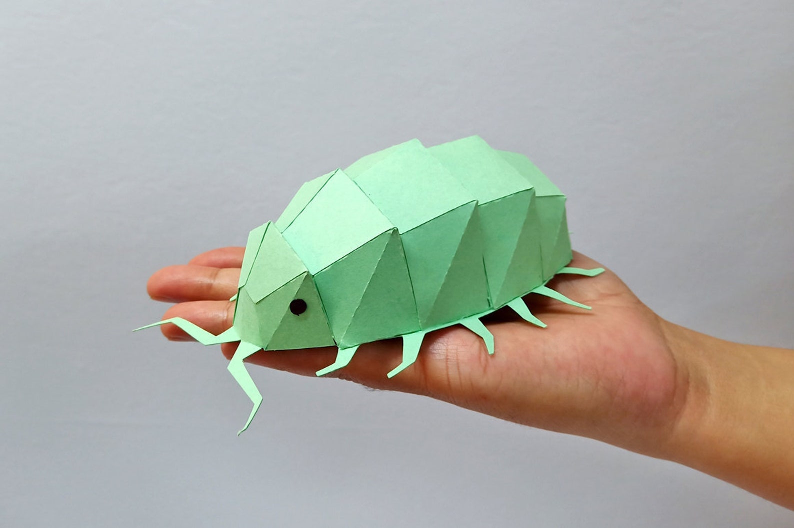 DIY Papercraft Isopod,bug Svg,papercraft Bug,papercraft Insect,low Poly ...
