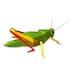 DIY Papercraft Grasshopper,lowpoly Grasshopper Png,3d Origami Insects ...
