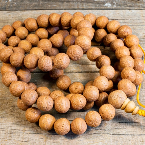 108ct 8mm Natural Lotus Seed Mala From Nepal - Etsy