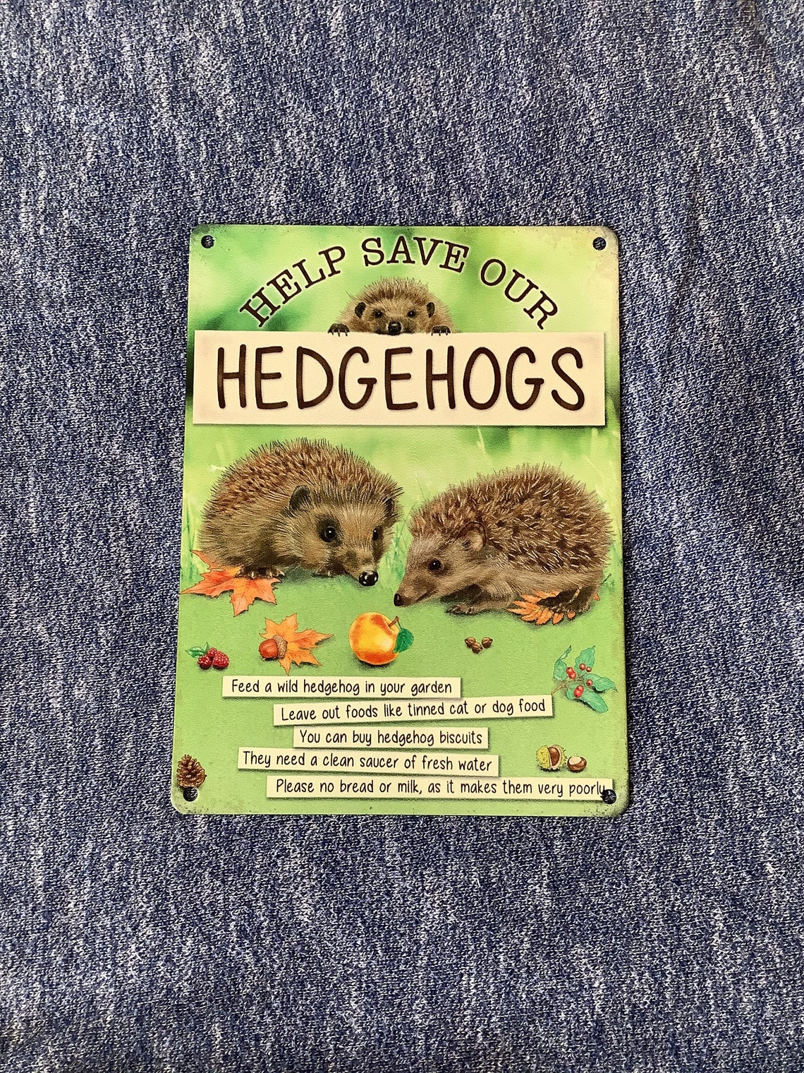 Help Save Our Hedgehogs Metal Wall Hanging Sign - Etsy