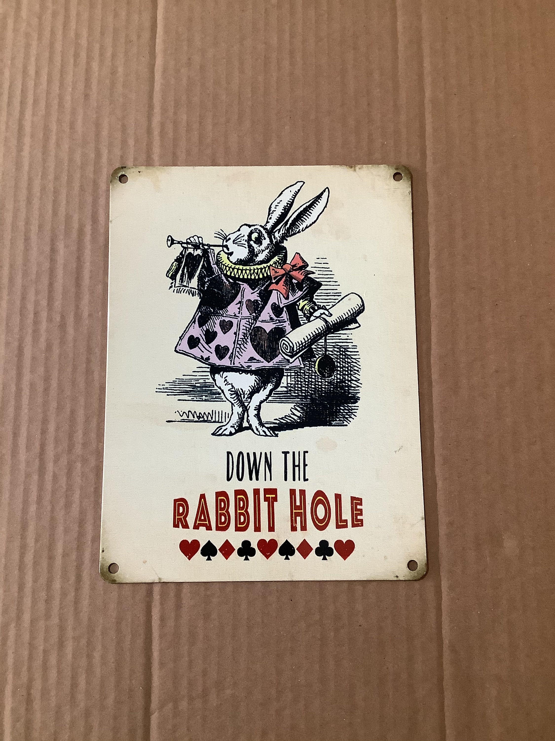 Down the Rabbit Hole Metal Wall Hanging Sign | Etsy