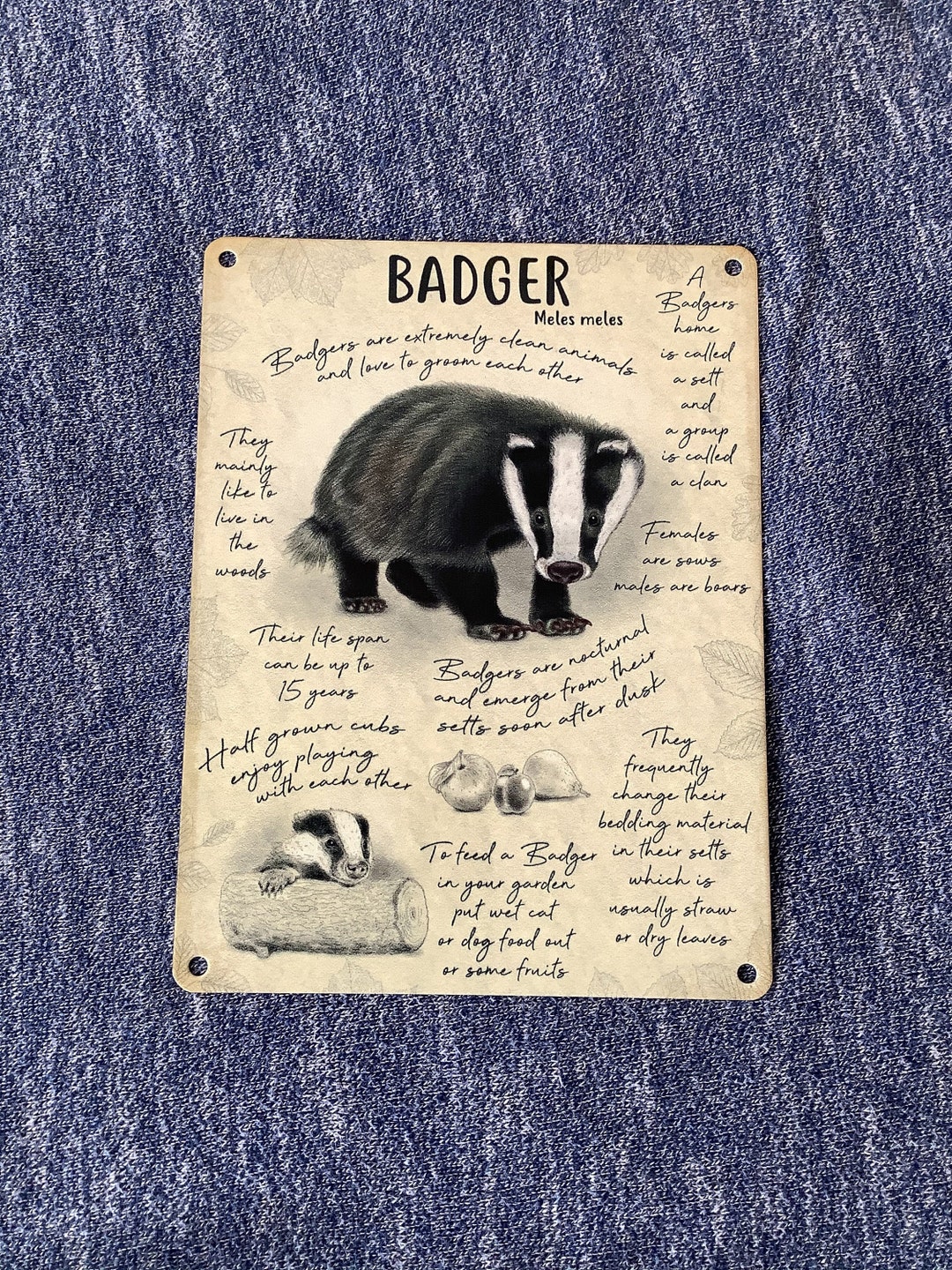 Badger Metal Wall Hanging Sign - Etsy