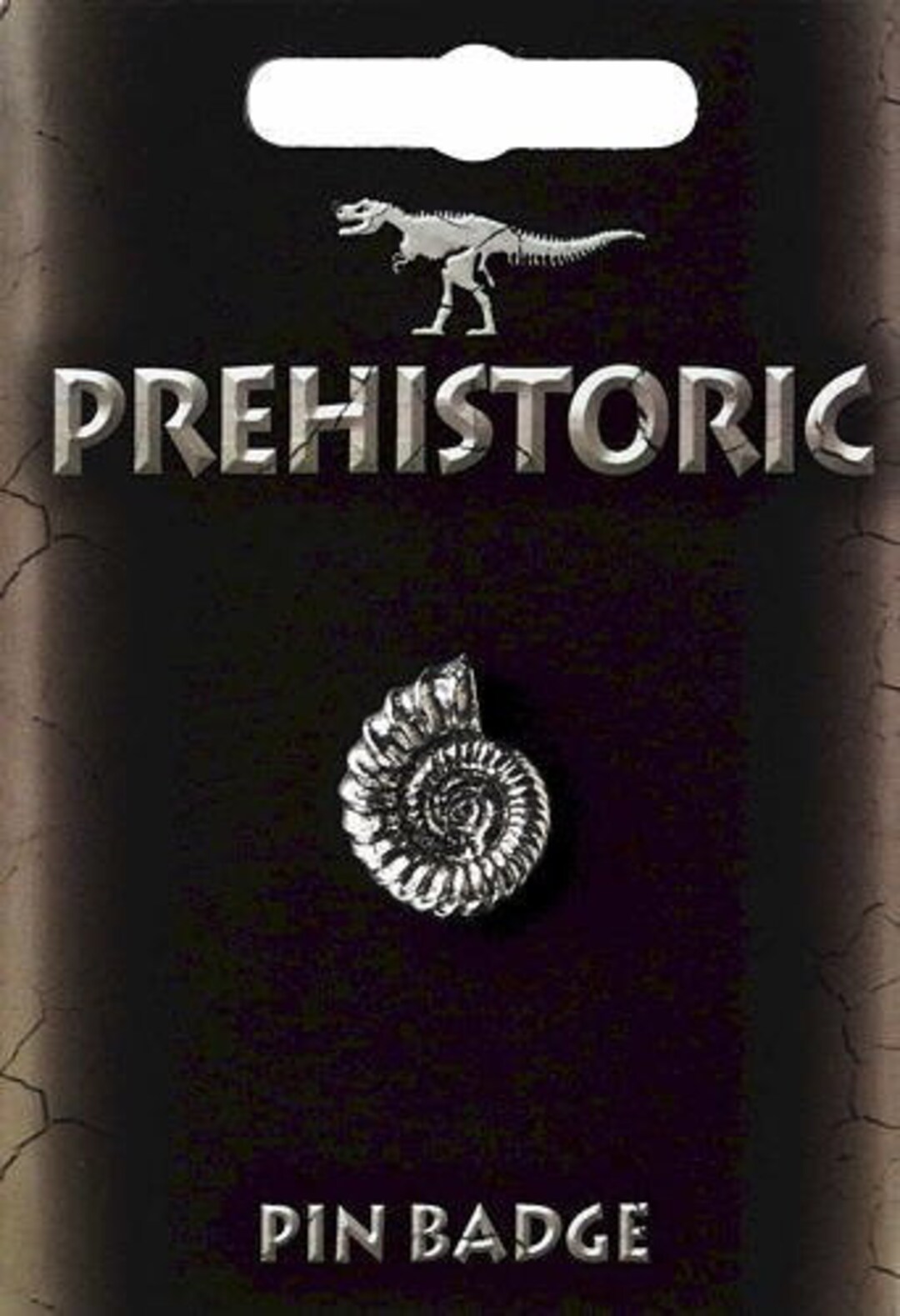 Ammonite Silver Pewter Pin Badge - Etsy