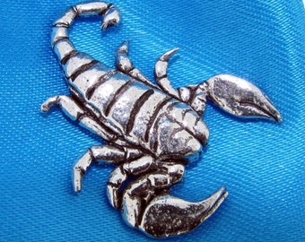 Scorpion Pin | Etsy