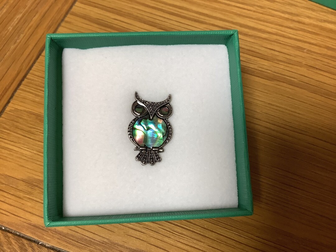 Stunning Owl Inlaid Paua Shell Pin Badge - Etsy