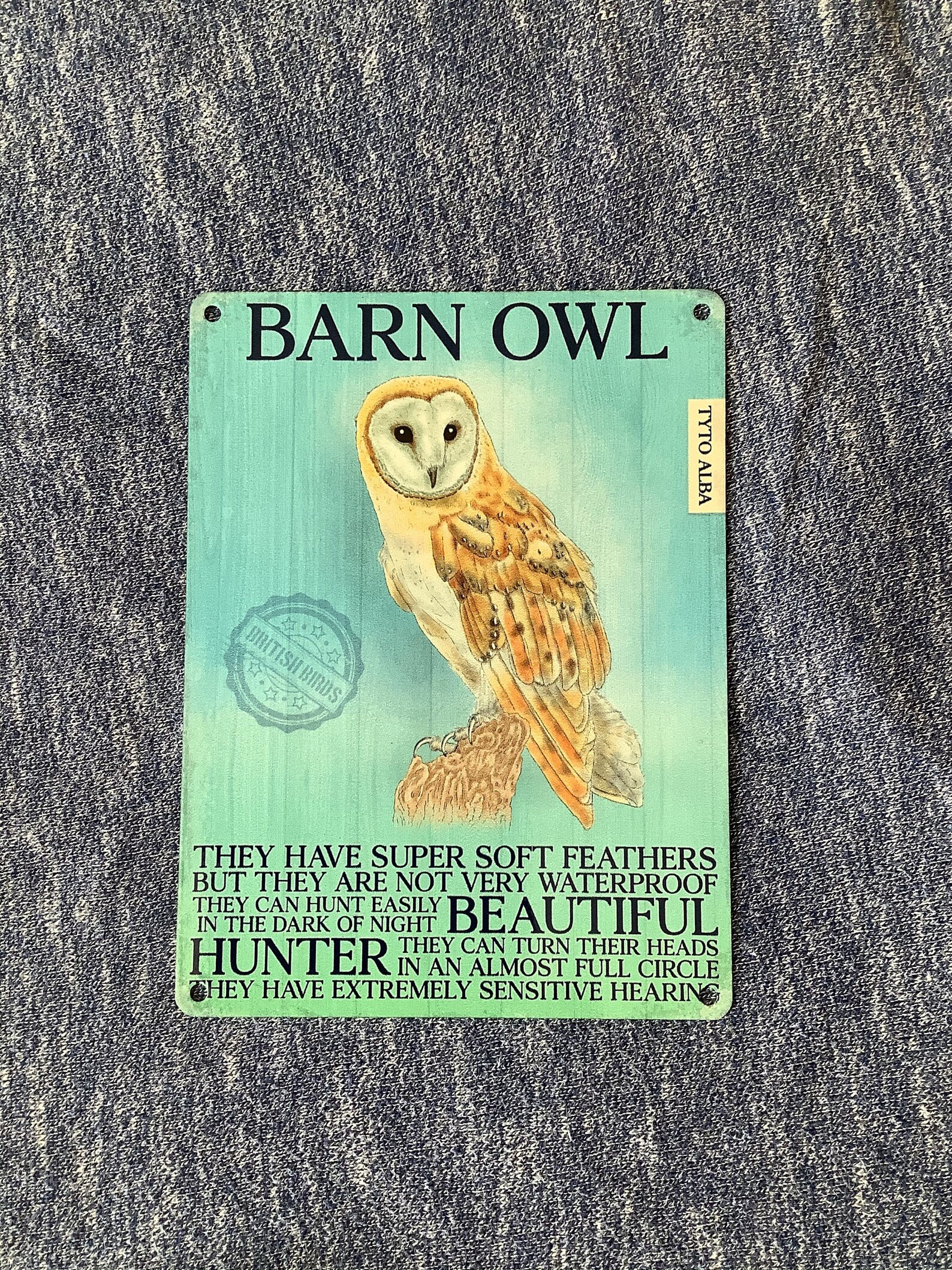 Barn Owl Metal Wall Hanging Sign - Etsy