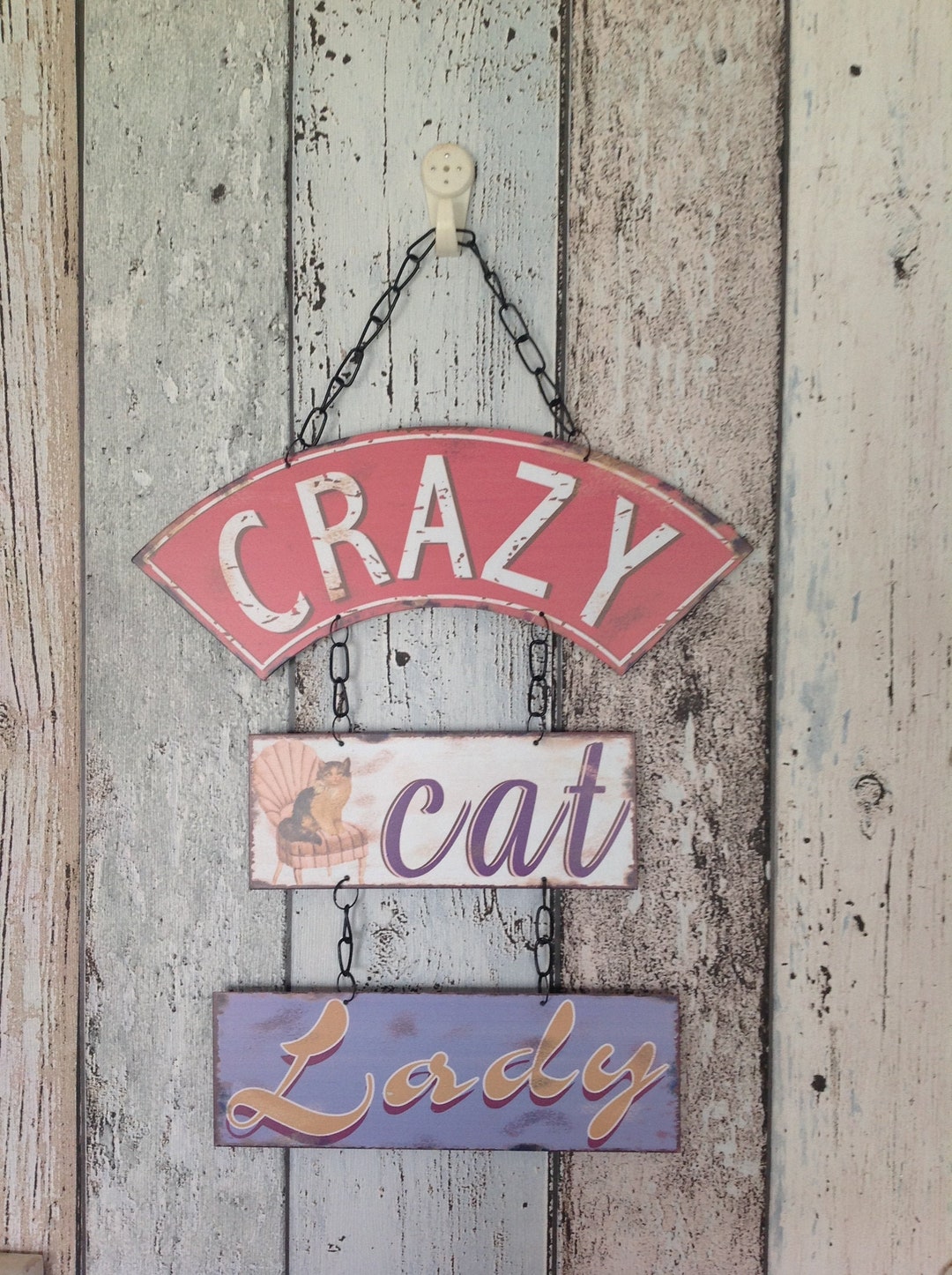 Crazy Cat Lady Metal Wall Hanging Sign - Etsy New Zealand