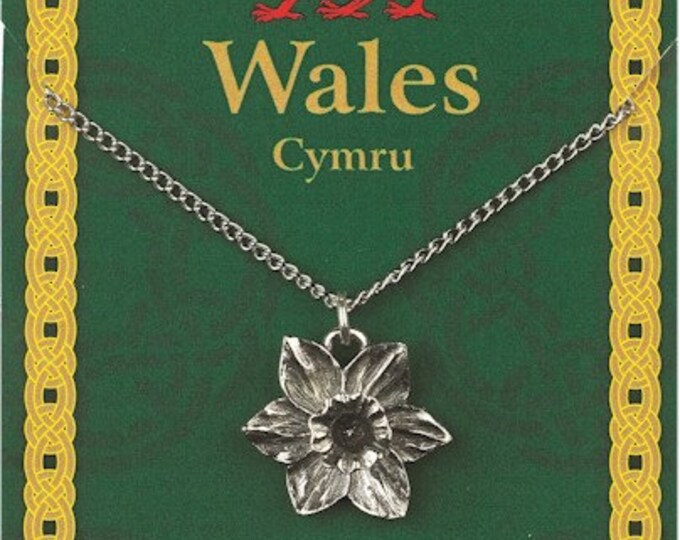 Welsh Gold Plated Prince of Wales Crown and Feathers Pewter - Etsy