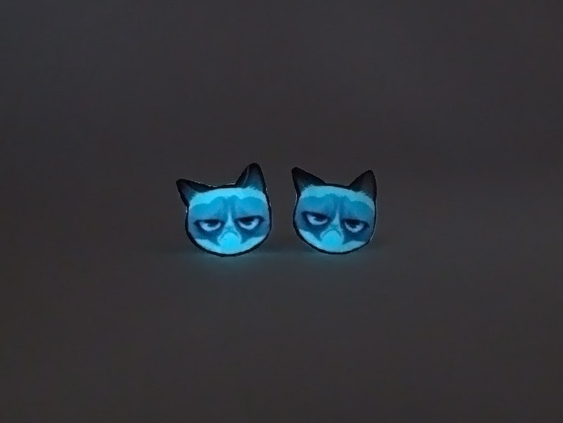 Glowing Mini Earrings Grumpy Cat Glow in the Dark Earrings - Etsy