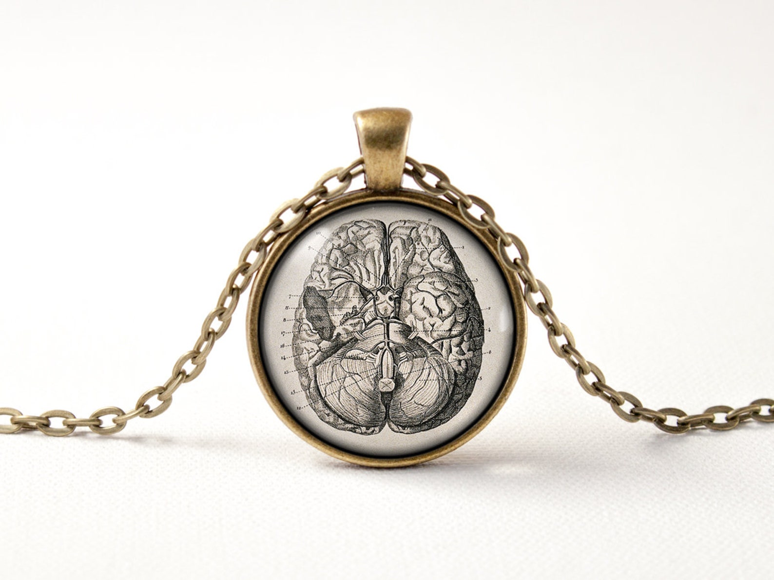 Brain Anatomy Keychain Nurse Gift Keyring Neuroscience Anatomical Key ...