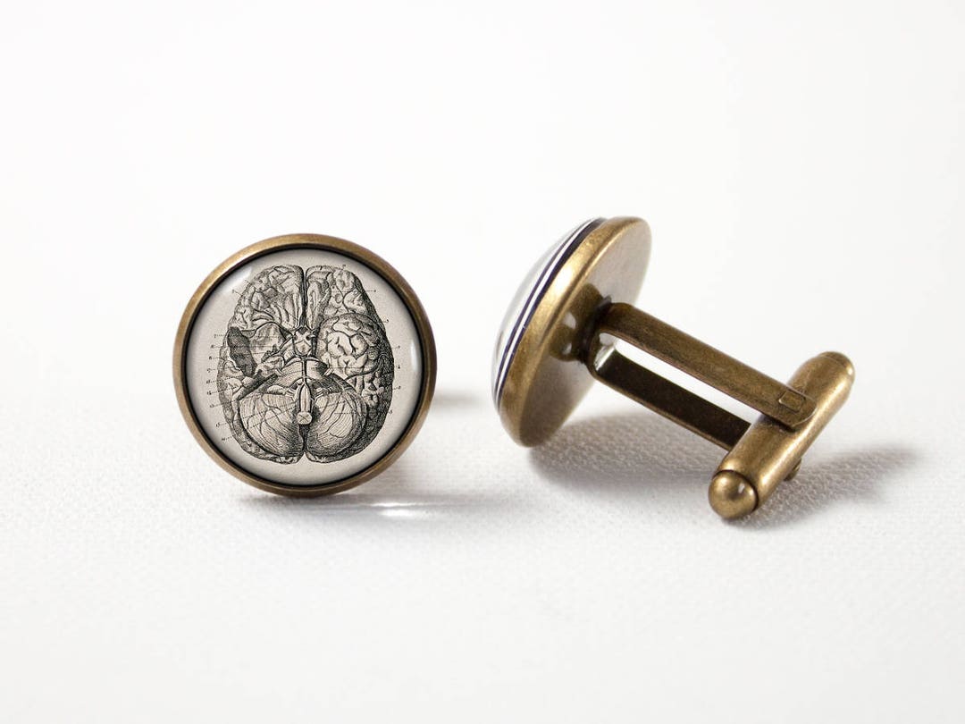 Science Gift Brain Cuff Links Anatomical Brain Human Brain Brain ...