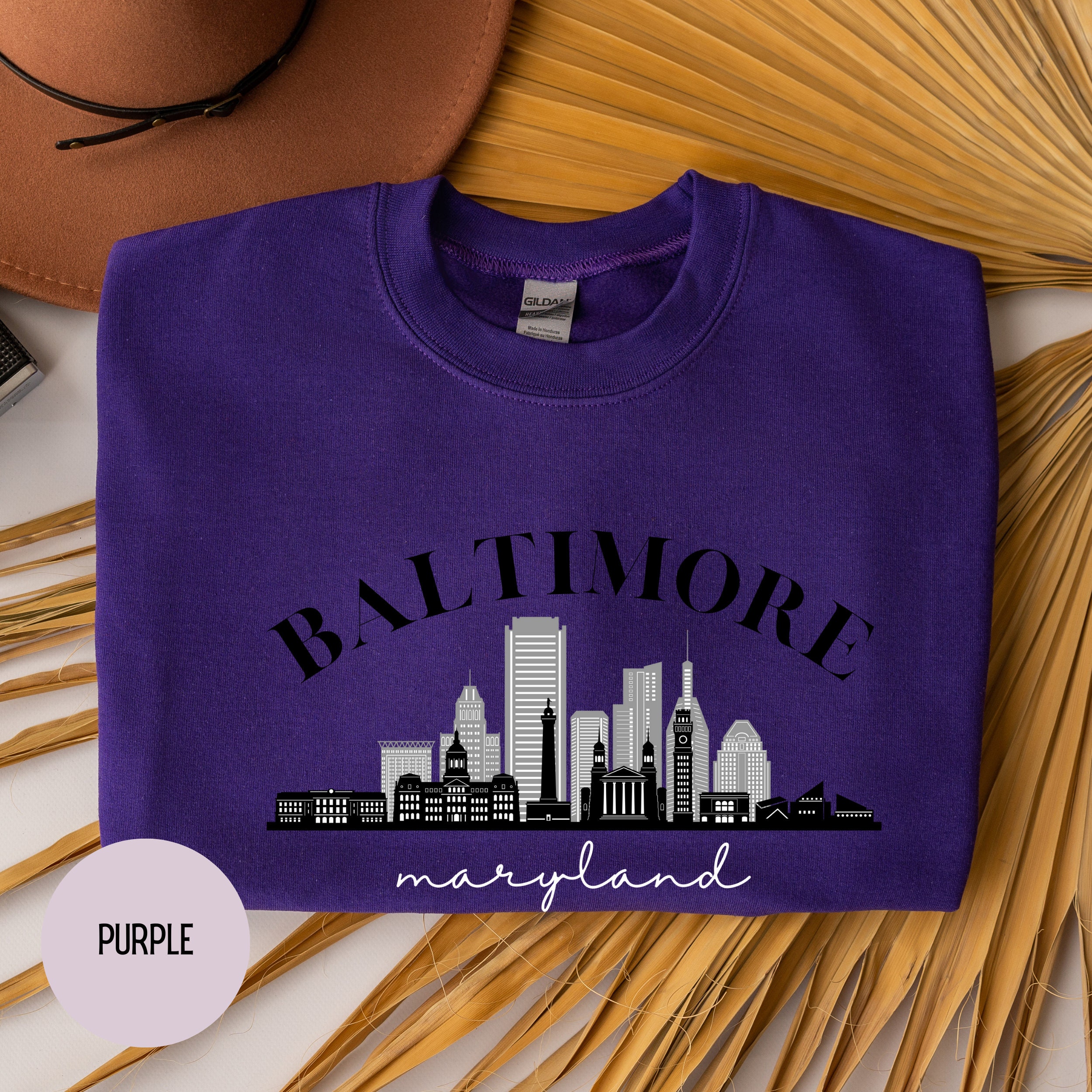 Baltimore Maryland Sweatshirt, Baltimore Skyline Shirt, Baltimore Gift ...