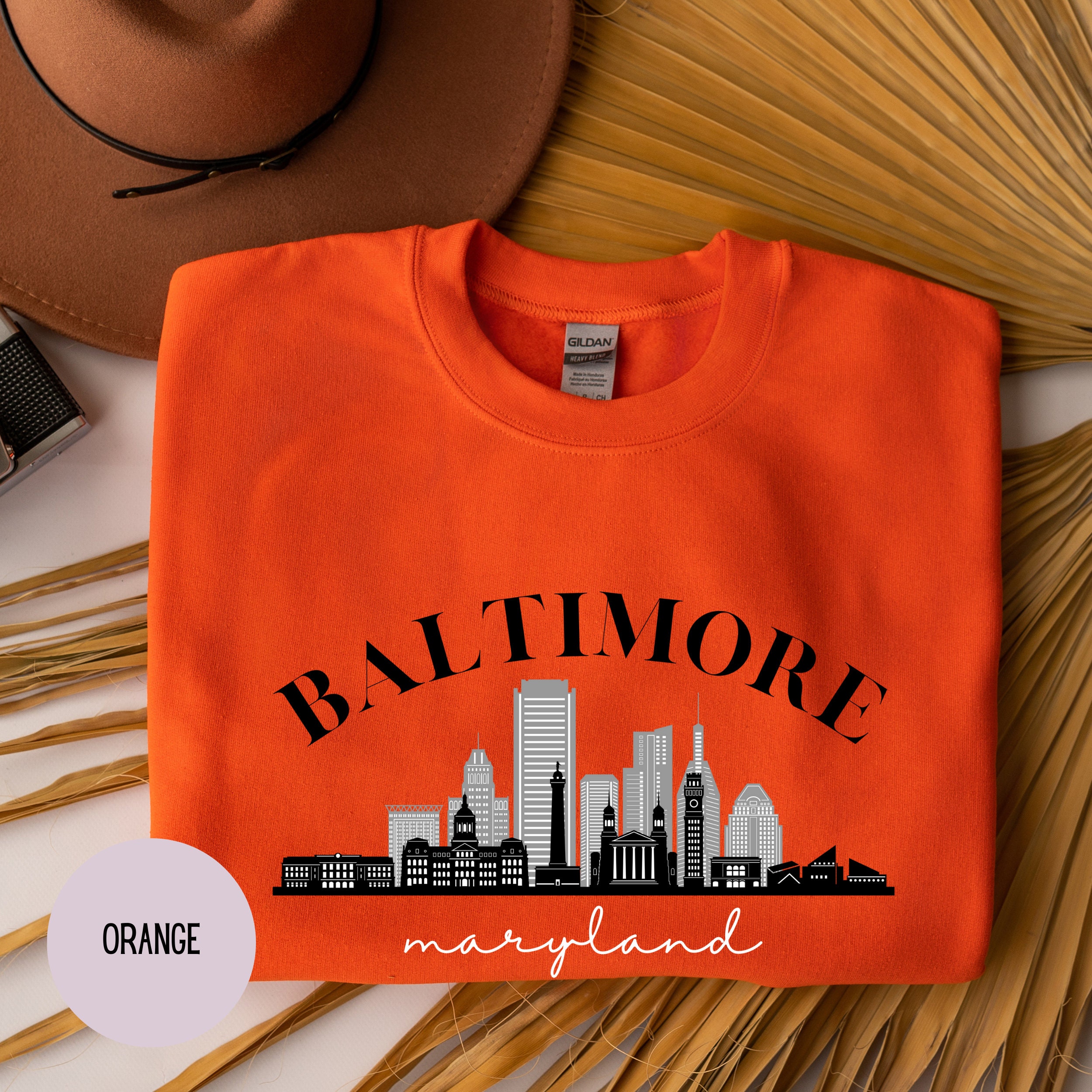 Baltimore Maryland Sweatshirt, Baltimore Skyline Shirt, Baltimore Gift ...