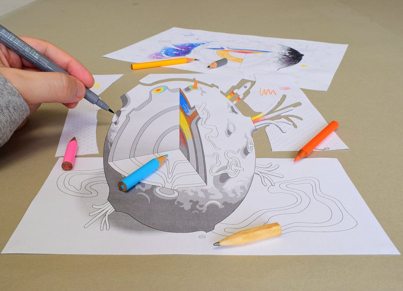 Coloring Book • 3D Art • Anamorphic Optical Illusion • Party Favors ...