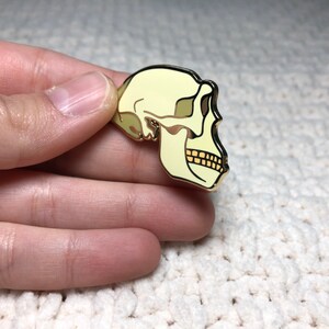 Homo Erectus Skull Enamel Pin | Archaeology Enamel Pin, Science Enamel ...
