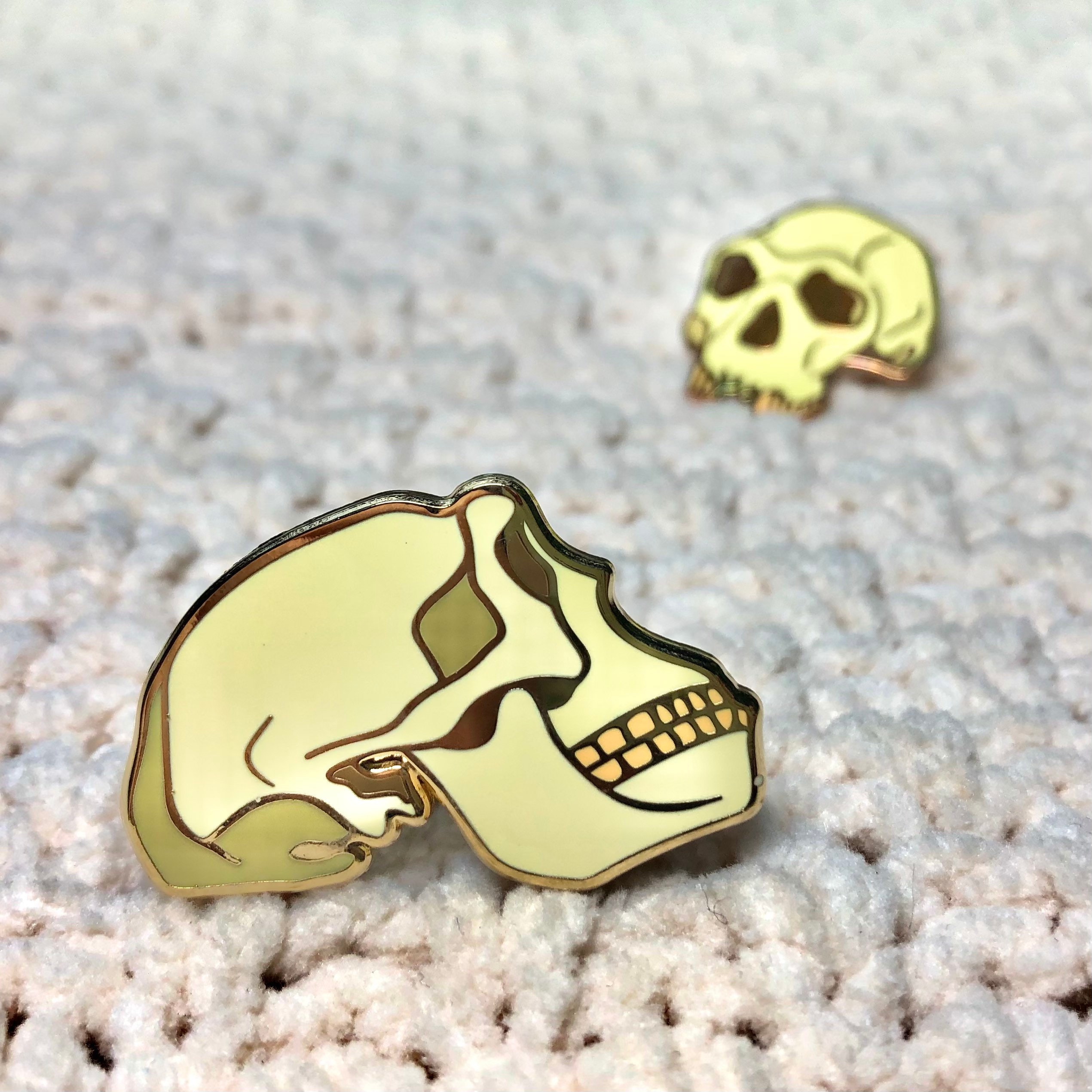 Homo Erectus Skull Enamel Pin | Archaeology Enamel Pin, Science Enamel ...