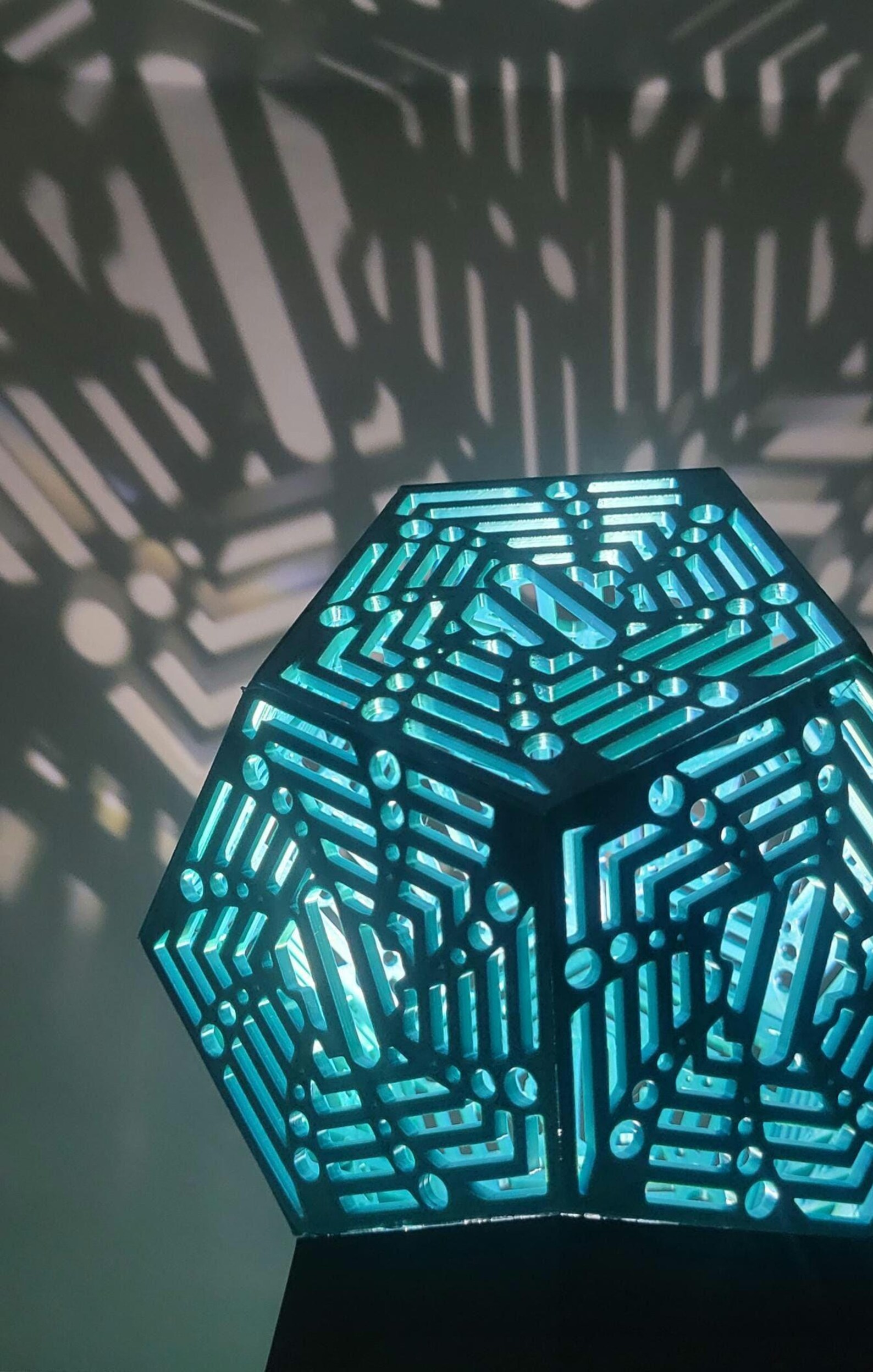 Jade Cicada RGB LED Shadow Lamp - Etsy