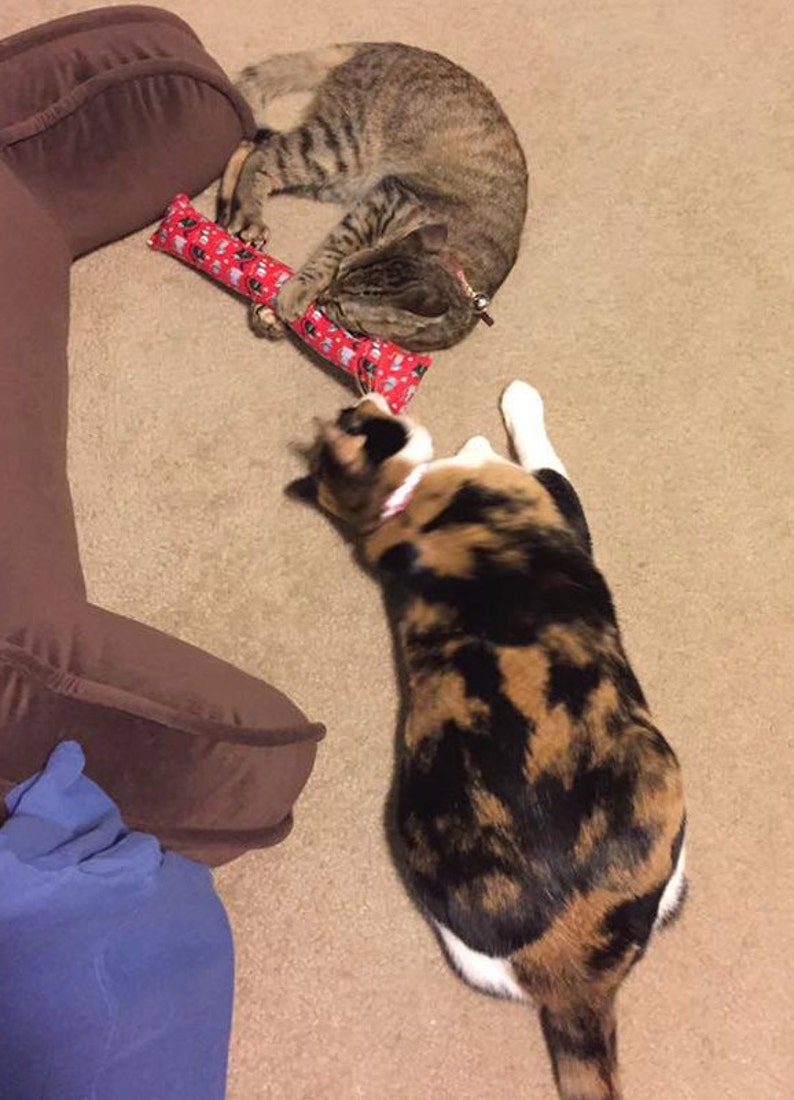 Catnip Toy Kitty Cat Catnip Kick Sticks - Etsy